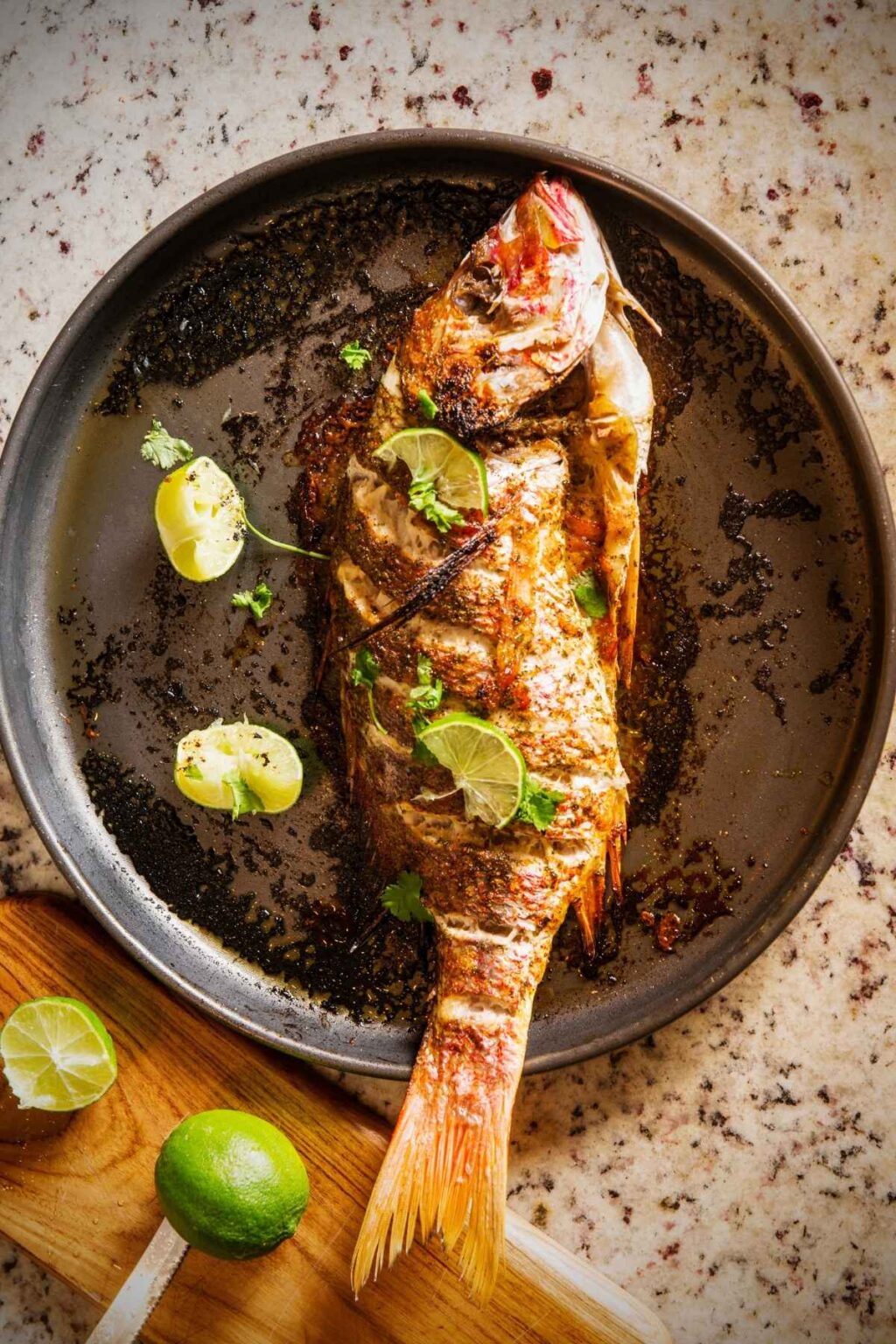 Best Vermilion Snapper Recipes