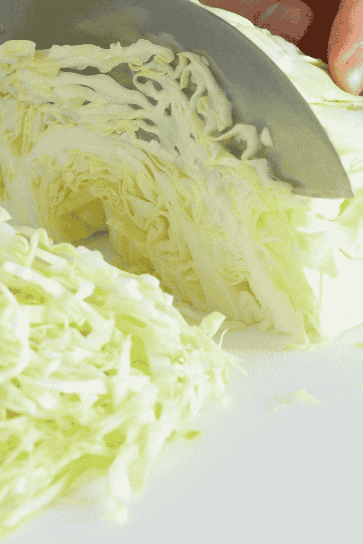 Easy Italian Cabbage Recipe – Italian Recipes Corner